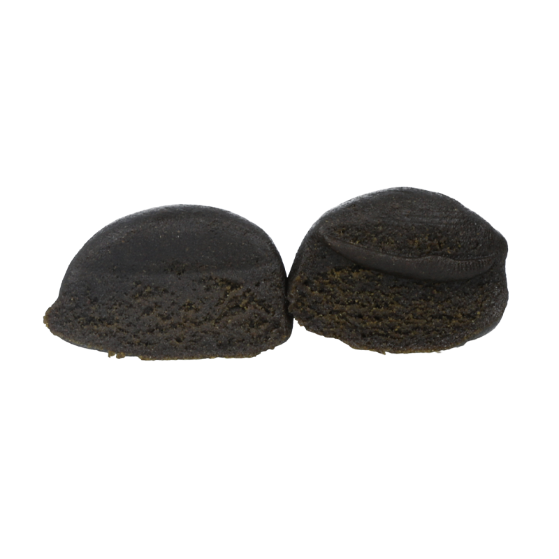 Découvrez le Hash Brownie - 35 % CBD - 10 % CBG - 4 % CBN