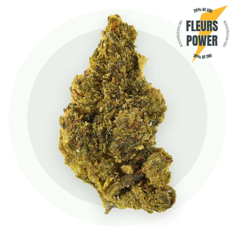 Fleurs Power : fleurs boostées en cannabidiol