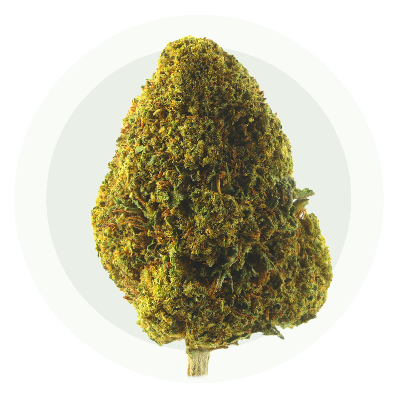 CBD Discount : votre CBD à prix mini - Livraison rapide