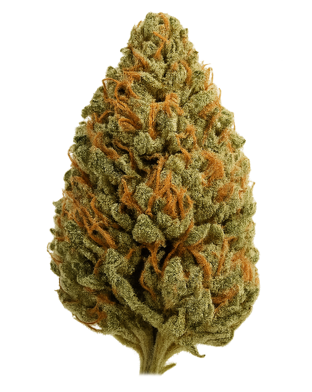 Pre-roll CBD - joint au CBD pré-roulé | The Greenstore