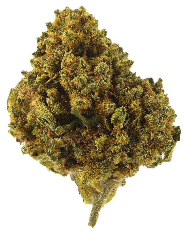 Pre-roll CBD - joint au CBD pré-roulé | The Greenstore