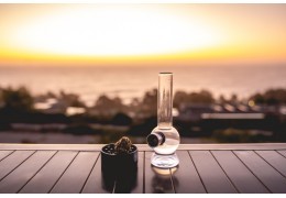 Tout savoir sur le DELTA 9 THC