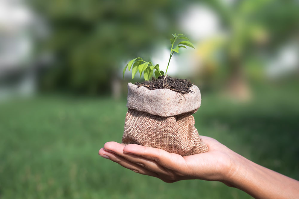 Les avantages du chanvre pour l'environnement