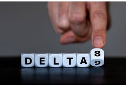 Tout savoir sur le DELTA 9 THC