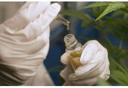 VMAC : guide complet